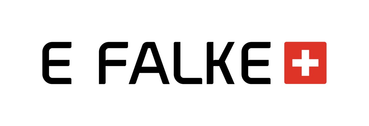 EFalke Electric Motors